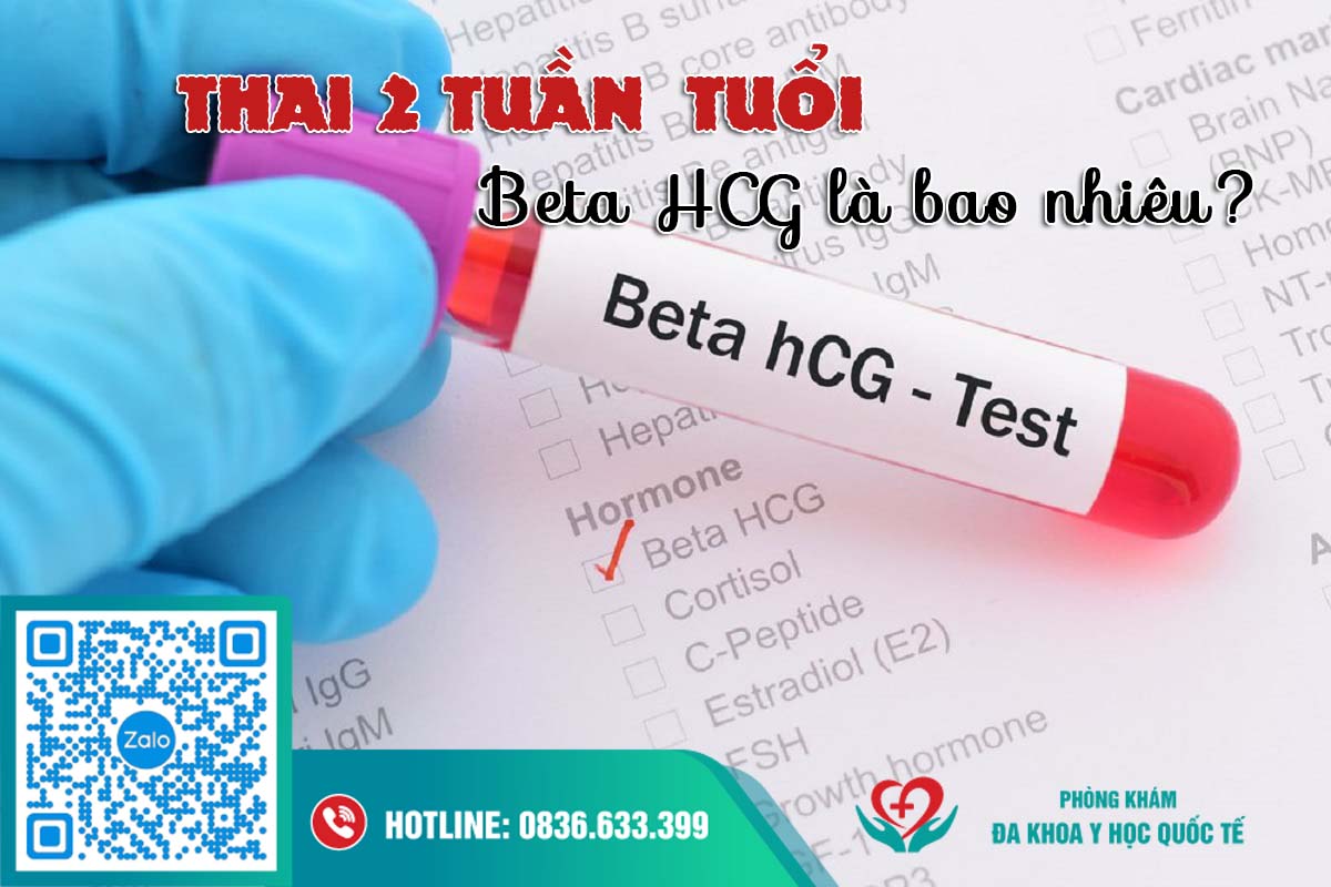 Thai 2 tuần beta hcg là bao nhiêu? - Đa khoa Y học Quốc tế